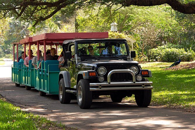 Skip the Line: Flamingo Gardens Admission Ticket in Fort Lauderdale - Practical Tips for Visiting Flamingo Gardens