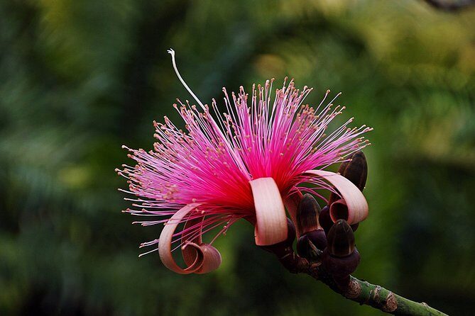 Skip the Line: Flamingo Gardens Admission Ticket in Fort Lauderdale - Frequently Asked Questions