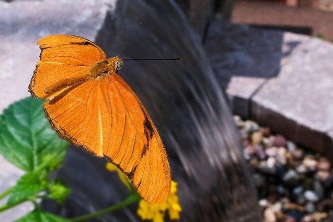 Skip the Line: General Admission to River Bend Nature Center Ticket - An In-Depth Look at River Bend Nature Center