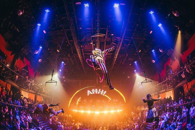 Skip the line: Gold Member Ticket Playa del Carmen - How the Tour Works: From Booking to Night Out