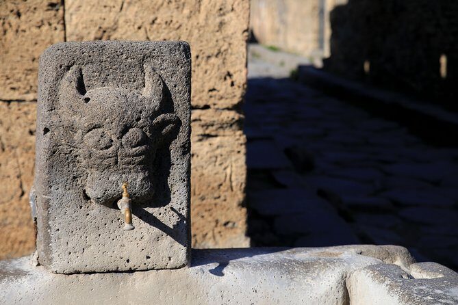 Skip-the-Line Half-Day Private Tour Ancient Pompeii Highlights with Native Guide - A Close Look at What the Tour Involves