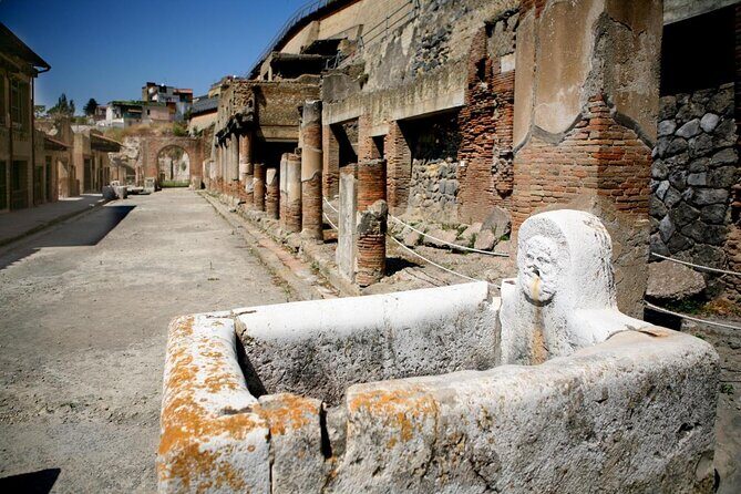 Skip-the-Line Herculaneum Tour from Sorrento - Key Points