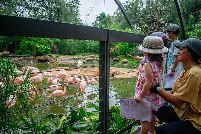 Skip The Line Houston Zoo Admission Ticket - Introducing the Houston Zoo Admission Ticket Review