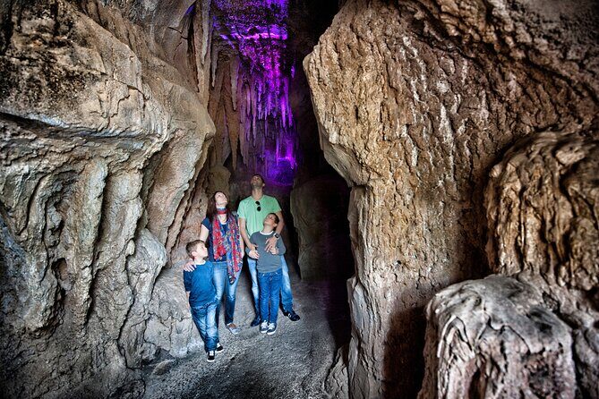 Skip the Line: Jungle Park Tenerife Entrance Ticket - Highlights and Activities at Jungle Park