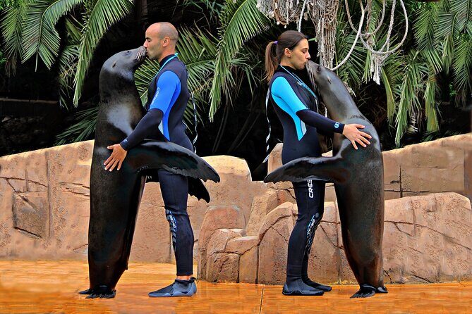 Skip the Line: Jungle Park Tenerife Entrance Ticket - What Do Visitors Say?