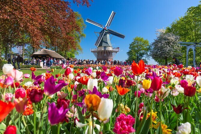 Skip-the-Line Keukenhof Gardens and Tulip Fields Tour from Amsterdam - What to Expect from the Tour
