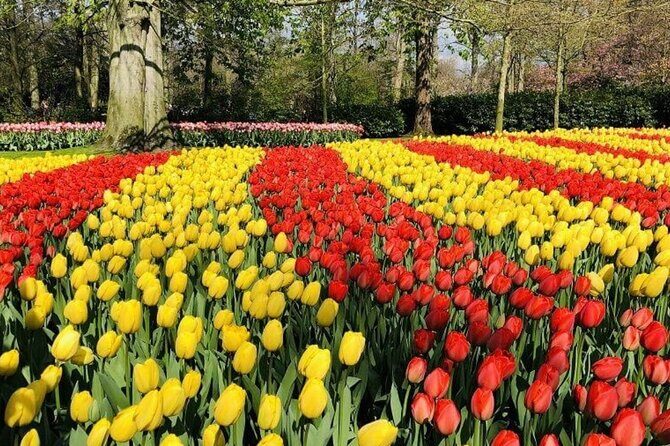 Skip-the-Line Keukenhof Gardens and Tulip Fields Tour from Amsterdam - Authentic Insights from Travelers