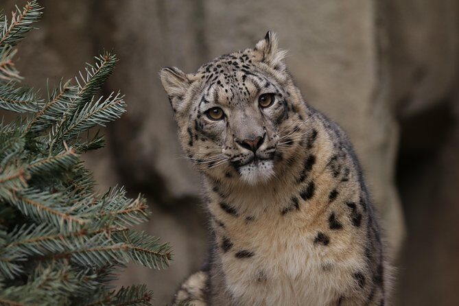 Skip the Line: Miller Park Zoo General Admission Ticket - Discover Miller Park Zoo: A Natural Escape in Bloomington