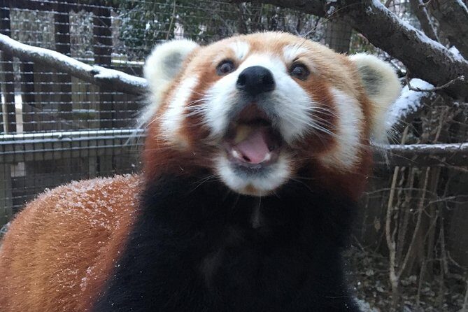 Skip the Line: Miller Park Zoo General Admission Ticket - An In-Depth Look at Miller Park Zoo