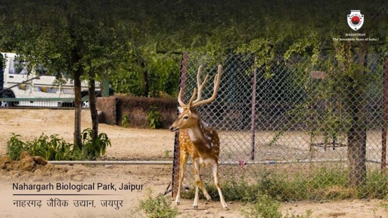 Skip The Line : Nahargarh Biological Park Tour, Jaipur - Frequently Asked Questions
