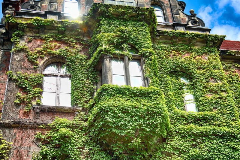 Skip-the-line National Museum and Old Town Private Tour - Who Should Consider This Tour?