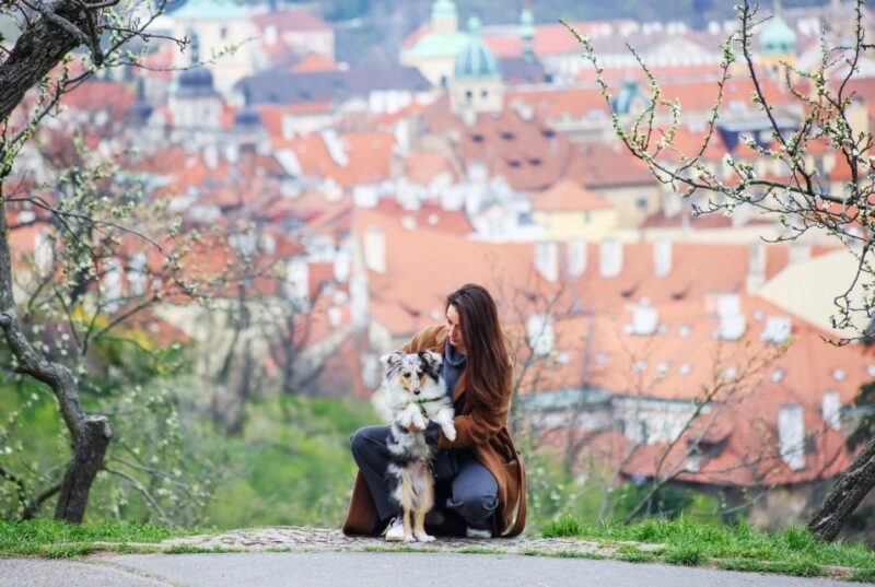 Skip-the-line Petrin Tower Prague Private Tour with Tickets - The Itinerary in Detail: What to Expect