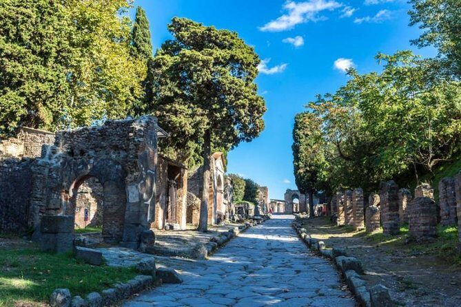 Skip the Line Private Pompeii Guided Tour - Who Should Consider This Tour?