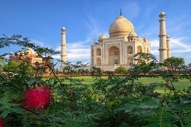 Skip The Line Taj Mahal Sunrise Tour Private Half-Day Guided Tour - The Sum Up