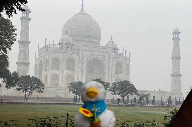 Skip-the-Line Taj Mahal Tour-Hassle-Free Entry & Guide Experience - Who Should Consider This Tour?