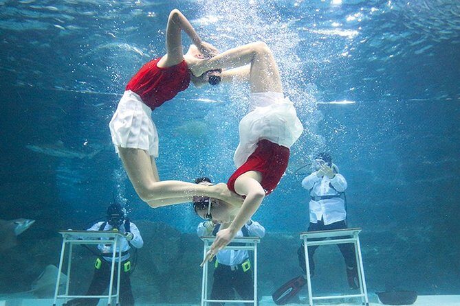 Skip the Line: The Greatest Urban Aquarium COEX Ticket() - Practical Tips for Your Visit