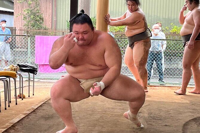 Skip the Line Ticket to Sumo Morning Practice at Nagoya - Key Points