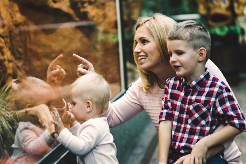 Skip-the-line Tickets to Bronx Zoo with Private Transfers - Final Thoughts on This Bronx Zoo Experience