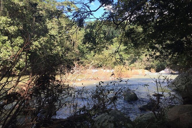 Skip the Line: Vallarta Botanical Garden Admission Ticket - An In-Depth Look at Vallarta Botanical Garden