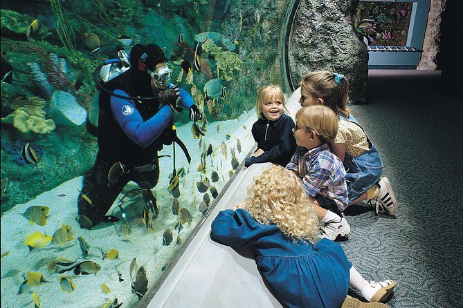 Skip the Ticketing Line: Aquarium of the Pacific General Admission Ticket - An in-depth look at the Aquarium of the Pacific experience