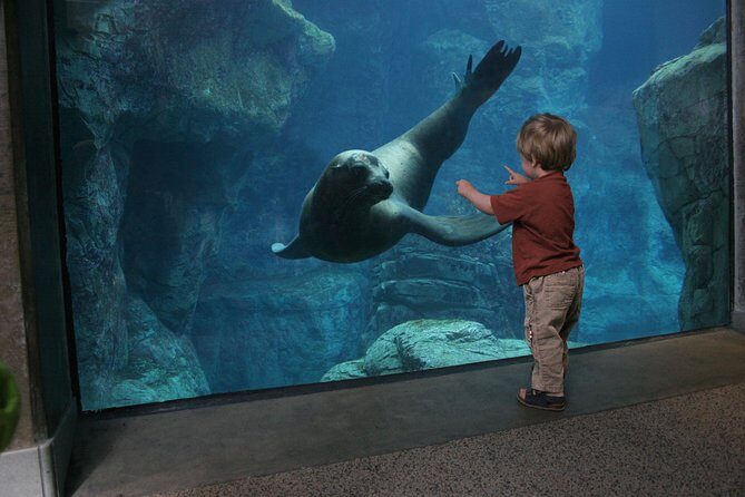 Skip the Ticketing Line: Aquarium of the Pacific General Admission Ticket - Inside the exhibits: what you’ll see and do