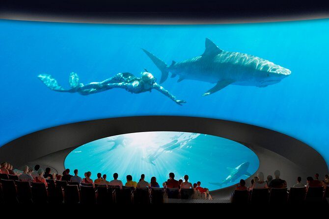 Skip the Ticketing Line: Aquarium of the Pacific General Admission Ticket - Accessibility, parking, and logistics