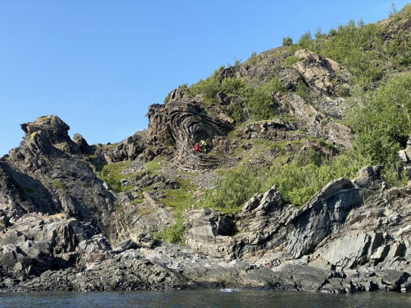 Skjervøy: Birds and Wildlife of Arctic Norway - Who Will Love This Tour?