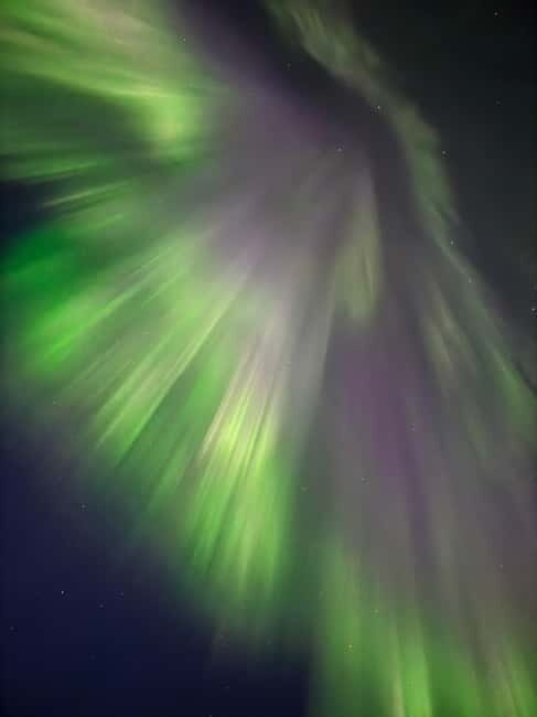 Skjervøy,North of Tromsø:Northern Lights Stargazing(Minivan) - A Closer Look at the Experience