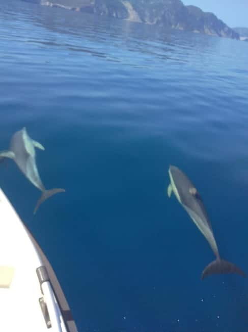 Skopelos: Private cruise to Alonissos and Marine Park - Final Thoughts: Who Will Love This Tour?