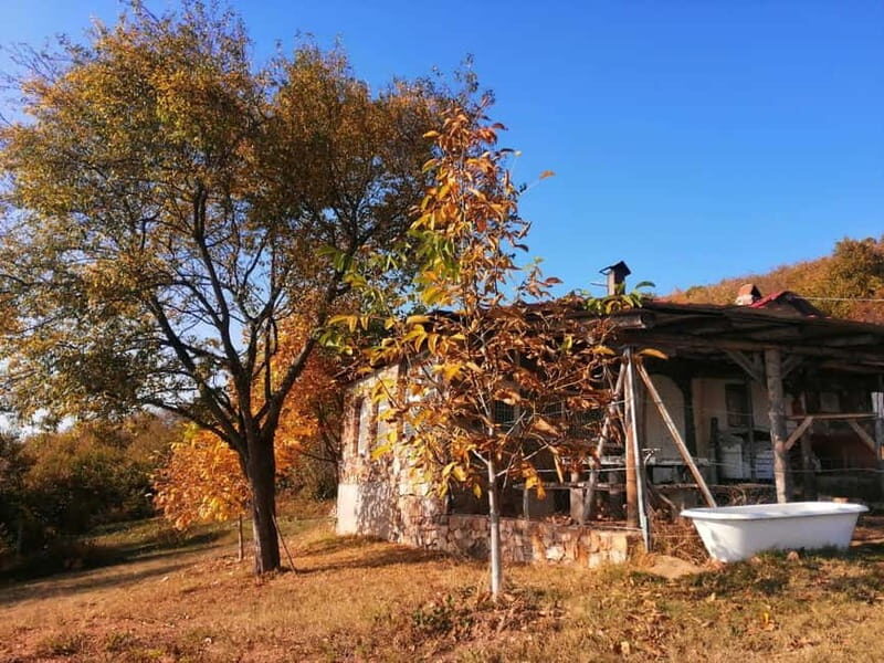 Skopje: Brodec  Spirova Hut  Crn Kamen Hike Tour - FAQ