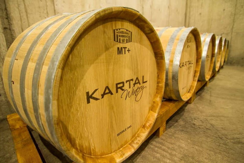 Skopje: Kartal Winery Tour - The Itinerary Breakdown
