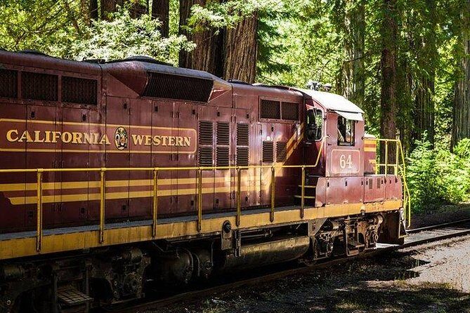 Skunk Train: Wolf Tree Turn from Willits - A Practical Guide to the Skunk Train: Wolf Tree Turn from Willits