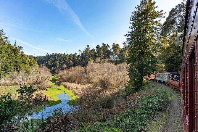 Skunk Train: Wolf Tree Turn from Willits - Frequently Asked Questions