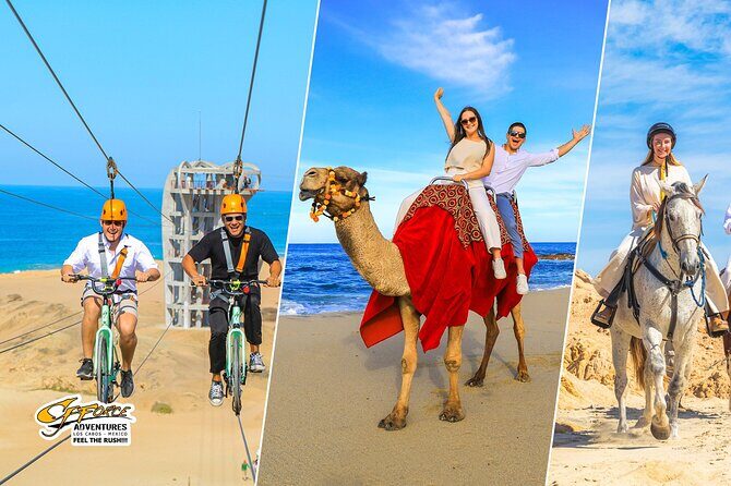 Sky Bike Adventure with Free Camel Ride and Horseback Riding - Who Should Consider This Tour?