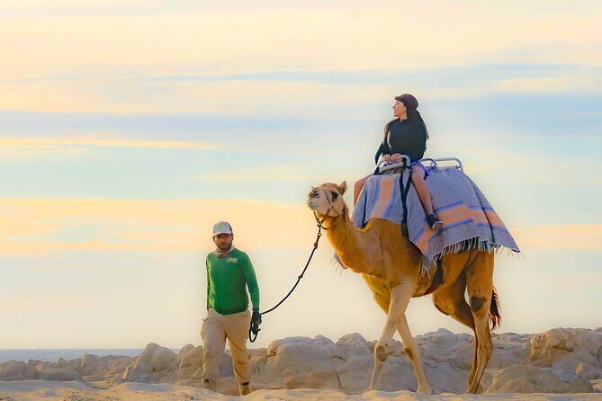 Sky Bike Free Camel Ride and Horseback Riding - Final Thoughts