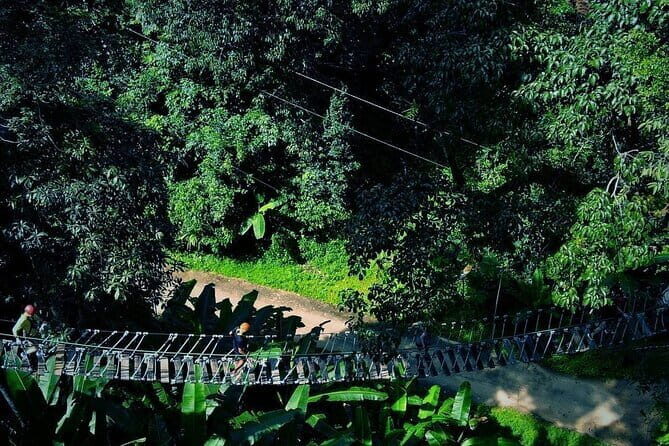 Sky Hawk Zipline Chiang Mai  Ultimate Canopy Adventure - An Introduction to the Experience