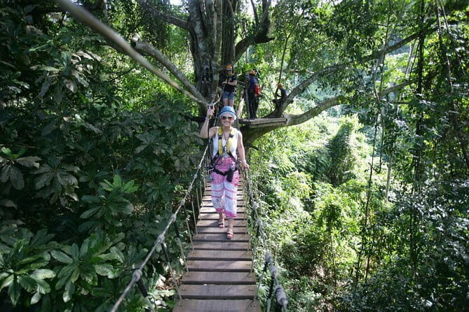 Sky Hawk Zipline Chiang Mai  Ultimate Canopy Adventure - The Experience and Reviews: What Travelers Say