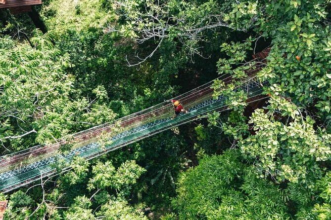 Sky Rock Khaolak Jungle Adventure Zipline Experience - Sky Rock Khaolak Jungle Adventure Zipline Experience: An In-depth Review