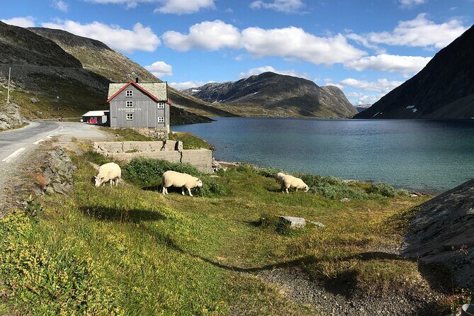 Sky to Fjord Geiranger Downhill Biking Adventure - FAQ