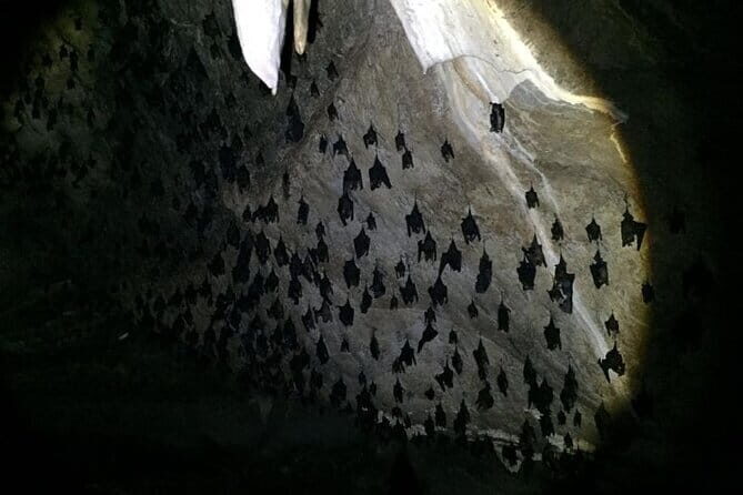 SkyCab & Sky Bridge Discovery Exclusive Private Tour - Who Will Love This Tour?