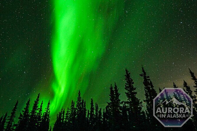 SkyChase Northern Lights Experience - The Food and Drink