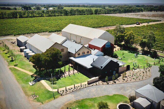 Skydive into Bremerton Wines + Wine Tasting in Langhorne Creek - How to Make the Most of Your Experience