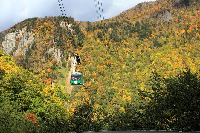 SkyExpress: Autumn Sounkyo Customised Private Day Tour (Up to 8 Passengers) - The Practical Side of the Tour