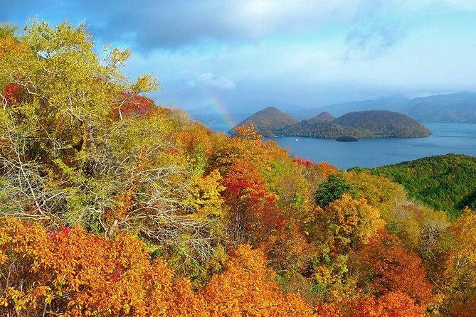 SkyExpress: Lake Toya Customised Private Day Tour (Up to 8 Passengers) - Reviews and Traveler Feedback