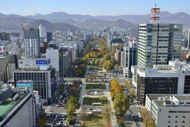 SkyExpress: Sapporo Customised Private Day Tour (Up to 15 Passengers) - What Travelers Can Expect from the Experience