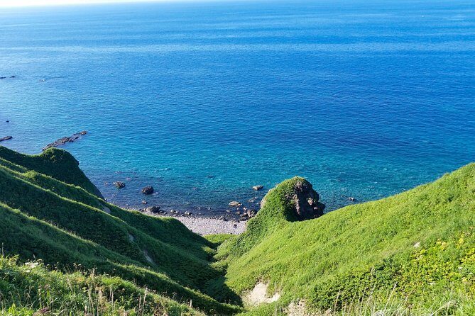 SkyExpress: Shakotan Peninsula Customised Private Day Tour (Up to 8 Passengers) - Analyzing the Value