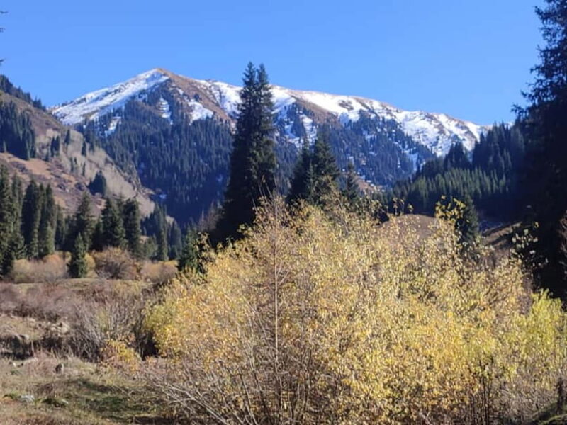 Skyline Hike in Almaty: Bukreev Peak - Key Points
