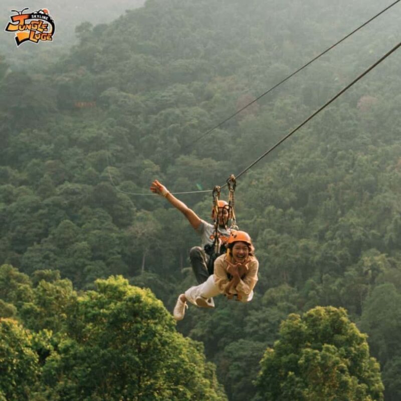 Skyline Jungle Luge Ticket + Lunch with Private Transfer - Who Will Love This Tour?