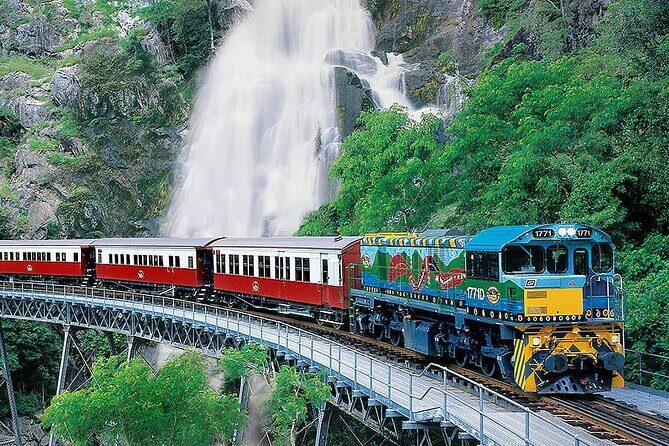 SKYRAIL CABLEWAY TRANSFER between Port Douglas & Skyrail (RETURN) - Key Points