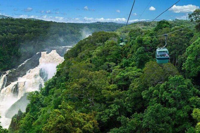 SKYRAIL CABLEWAY TRANSFER between Port Douglas & Skyrail (RETURN) - The itinerary: what to expect